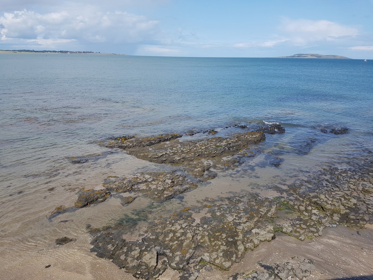 Climate Fiction Writers League – Climate activism, through fiction.